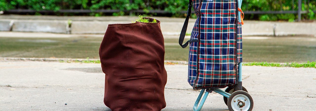 5 Best Shopping Carts - Nov. 2022 - BestReviews