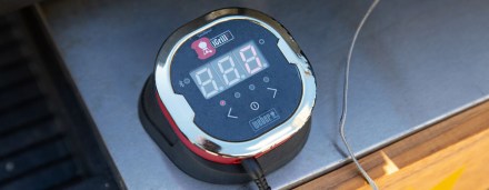 5 Best Weber Grill Thermometers