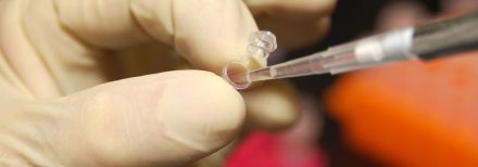 7 Best DNA Ancestry Kits - Aug. 2025 - BestReviews