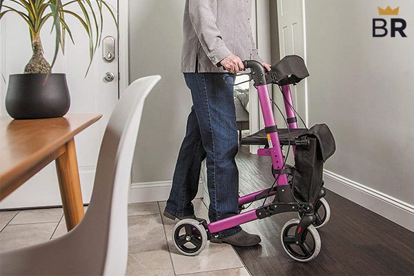 5 Best Walkers - Apr. 2024 - BestReviews