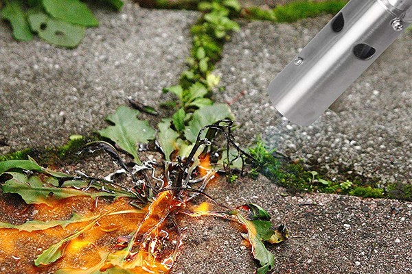 5 Best Weed Torches - Oct. 2023 - BestReviews
